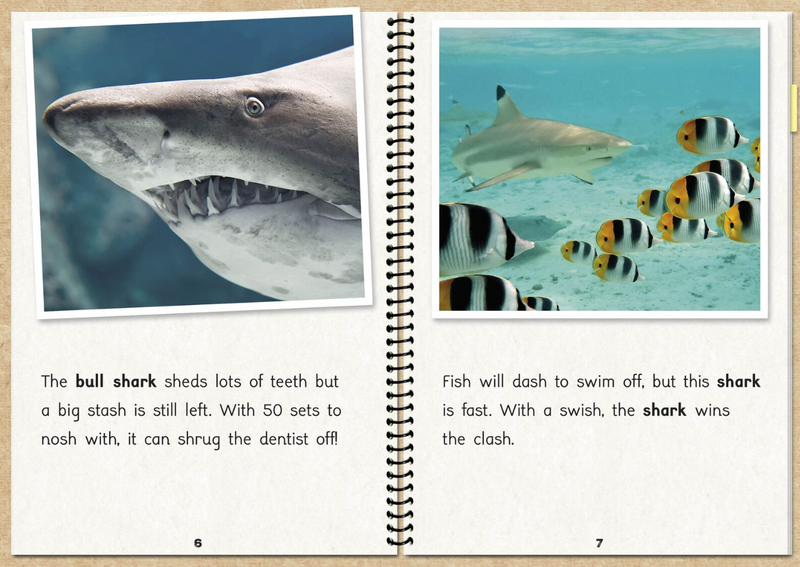 The Fact Files 1 – Smart Kids NZ