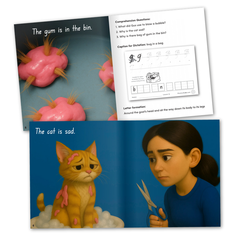 Decodable Book 16 /g/ – Smart Kids NZ