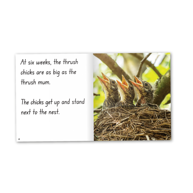 Decodable Book 54 suffix -s – Smart Kids NZ