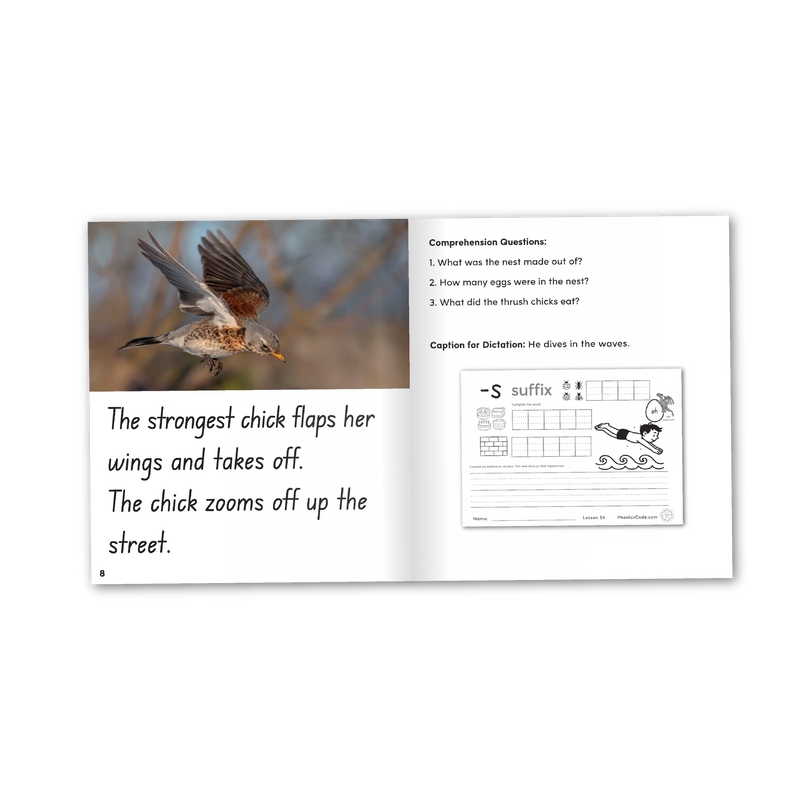 Decodable Book 54 suffix -s – Smart Kids NZ