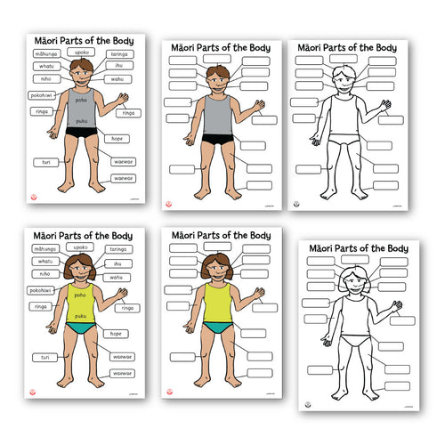 Te Reo Māori (Downloads) – Smart Kids NZ